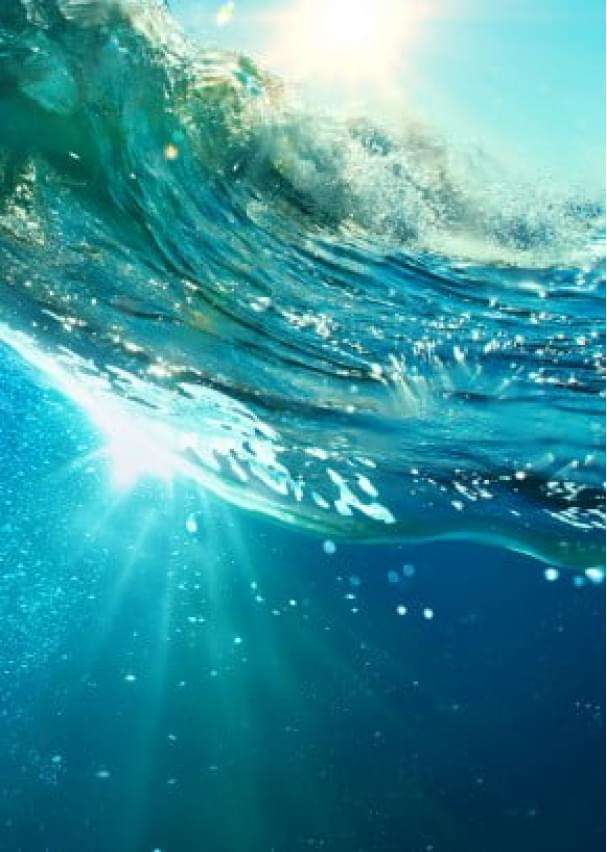 XCIENT Fuel Cell Tractor | Hyundai Electrified Commercial Vehicles